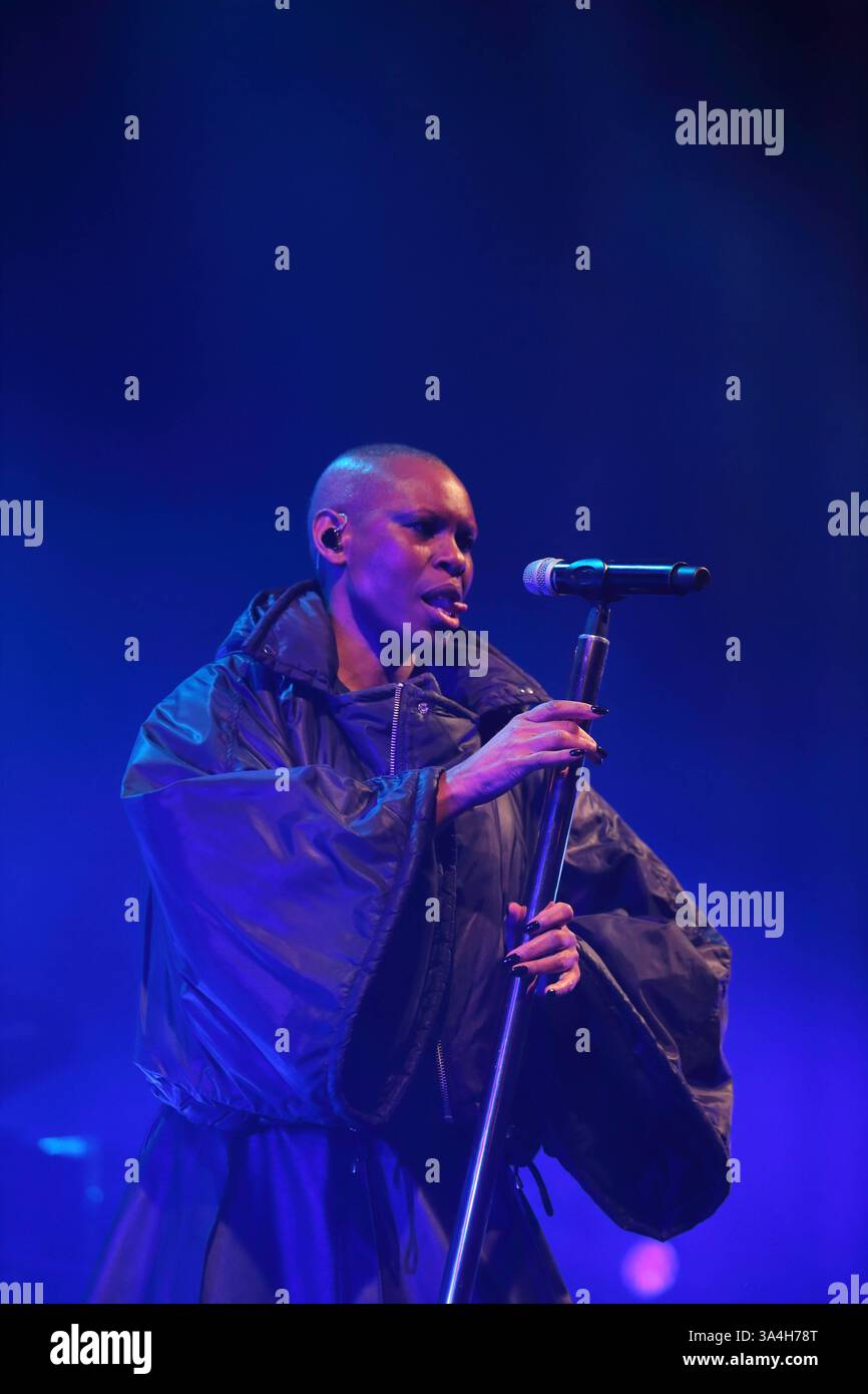 Deborah Anne Dyer alias Skin von der Band Skunk Anansie bei einem ...