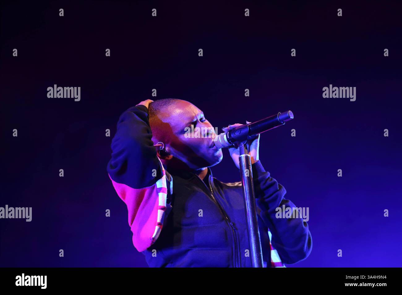 Deborah Anne Dyer alias Skin von der Band Skunk Anansie bei einem ...