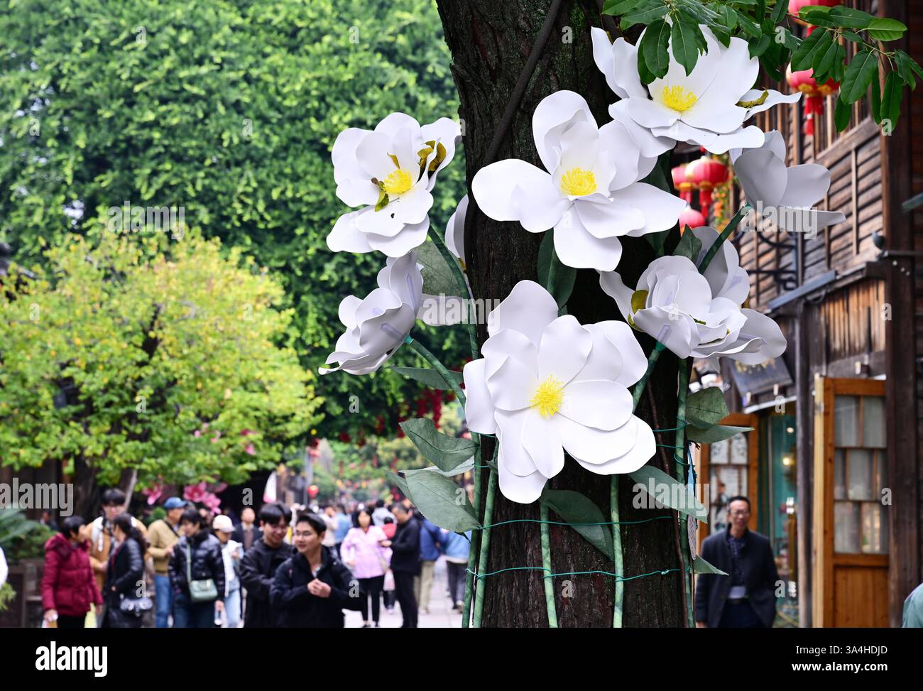 Fuzhou,China.17th March 2025. People walk by trees decorated as floral ...