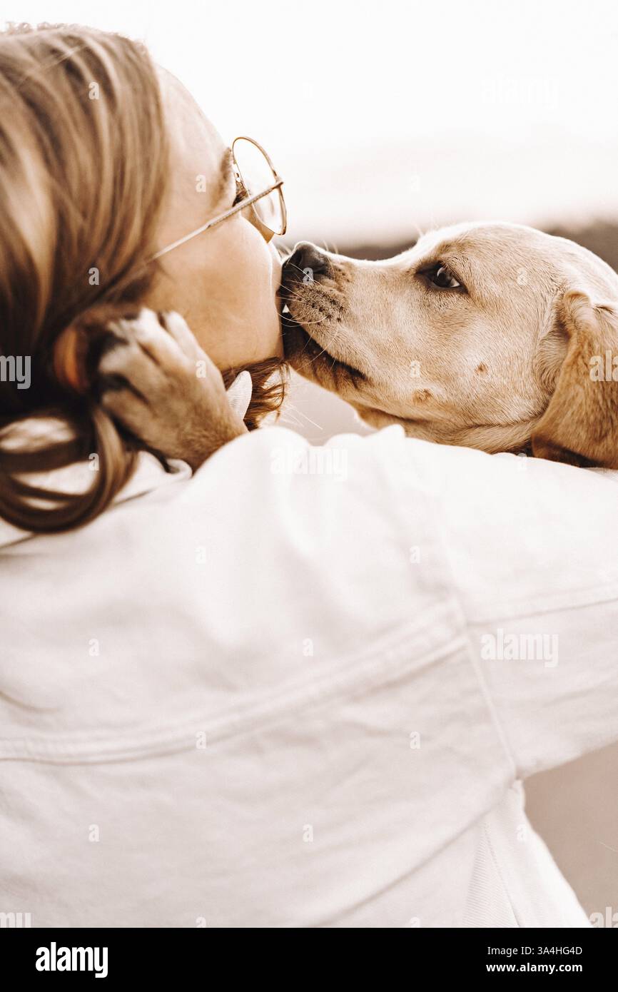 Young woman kissing labrador hi-res stock photography and images - Alamy