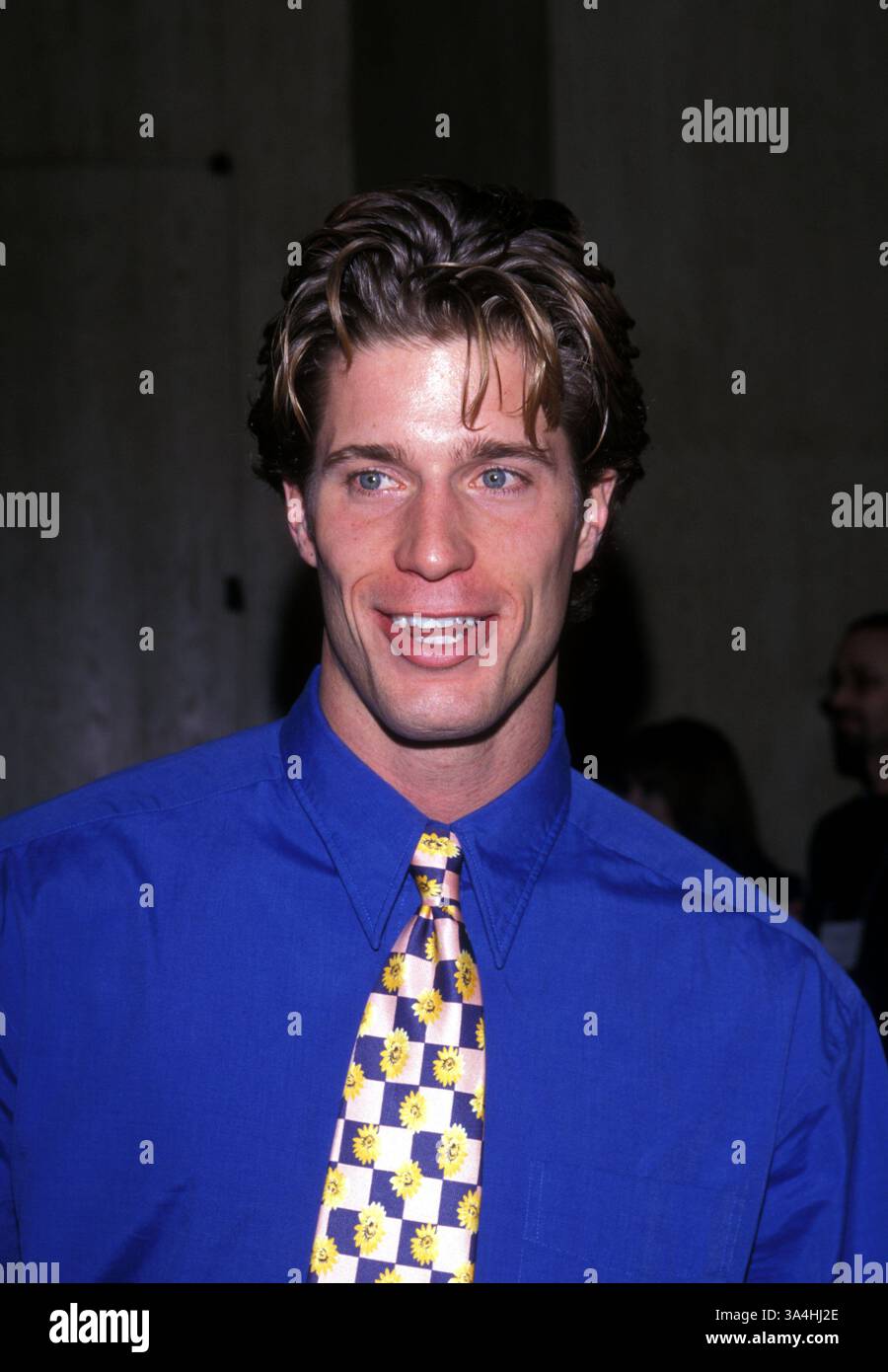 Actor RIB HILLIS @ the 1998 Access Media Awards Stock Photo - Alamy