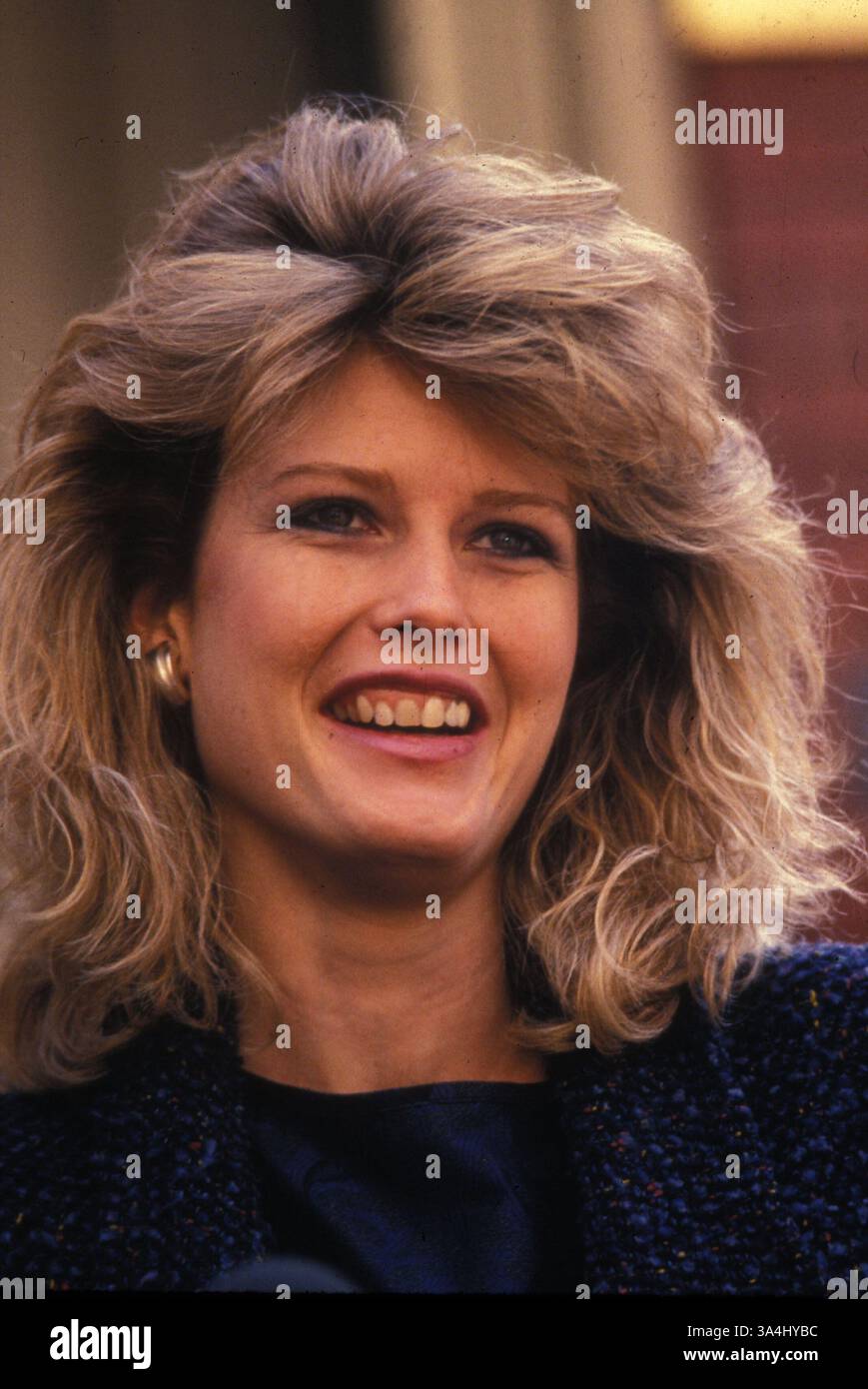Fawn hall hi-res stock photography and images - Alamy