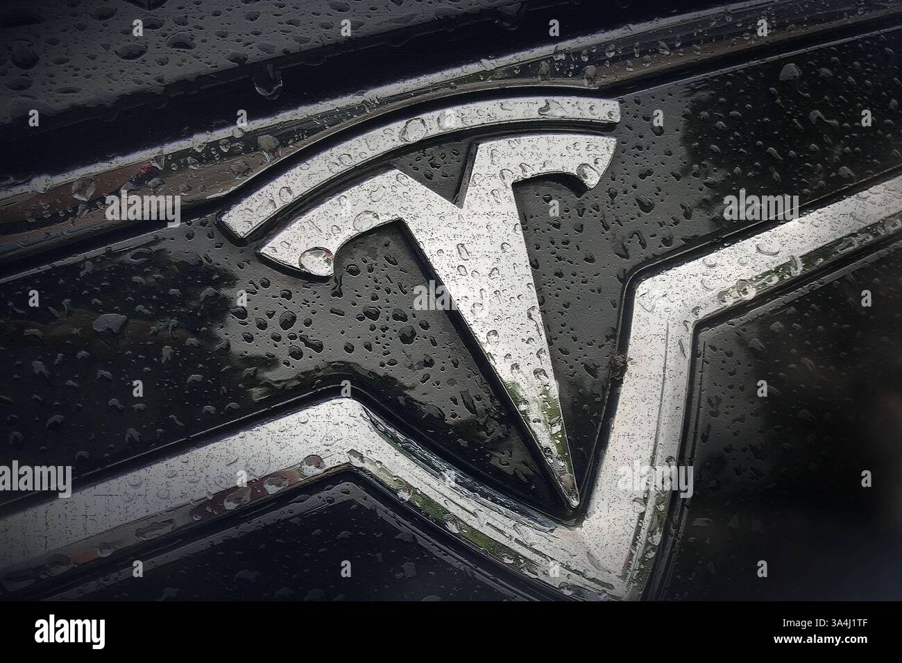 TESLA Markenemblem,Logo,Automarke. Autobauer,Logo,Emblem, E-Auto ...