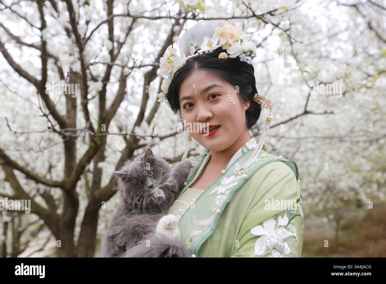 Pear blossoms bloom in Gejiu City, southwest China's Yunnan Province ...
