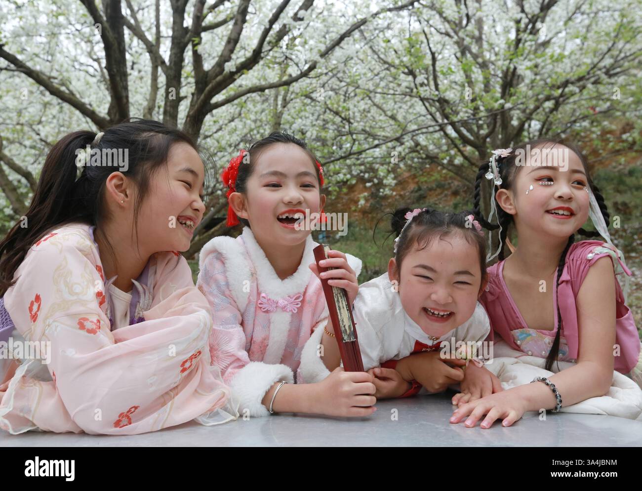 Pear blossoms bloom in Gejiu City, southwest China's Yunnan Province ...