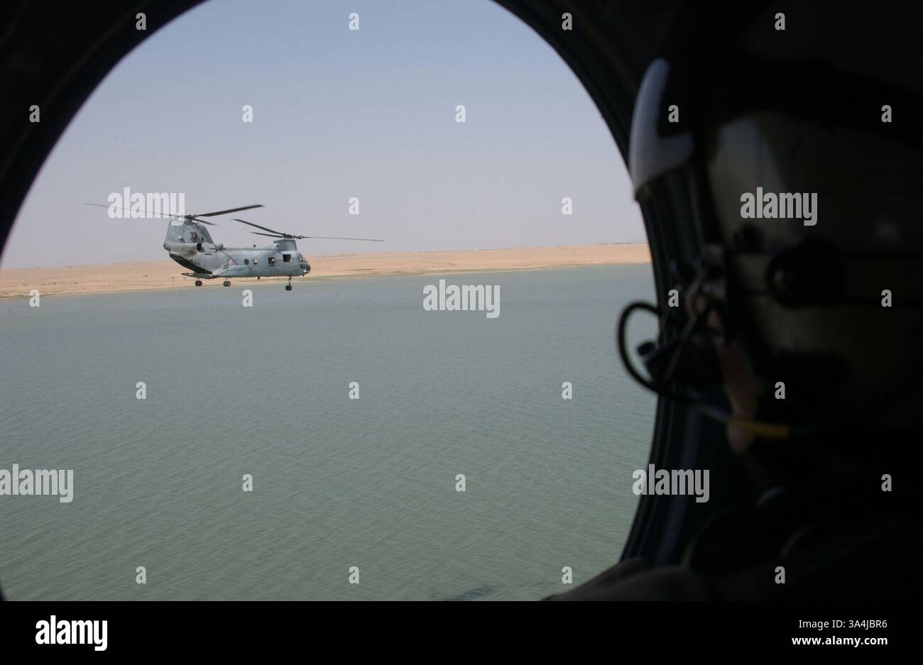 Greyhawks hi-res stock photography and images - Alamy