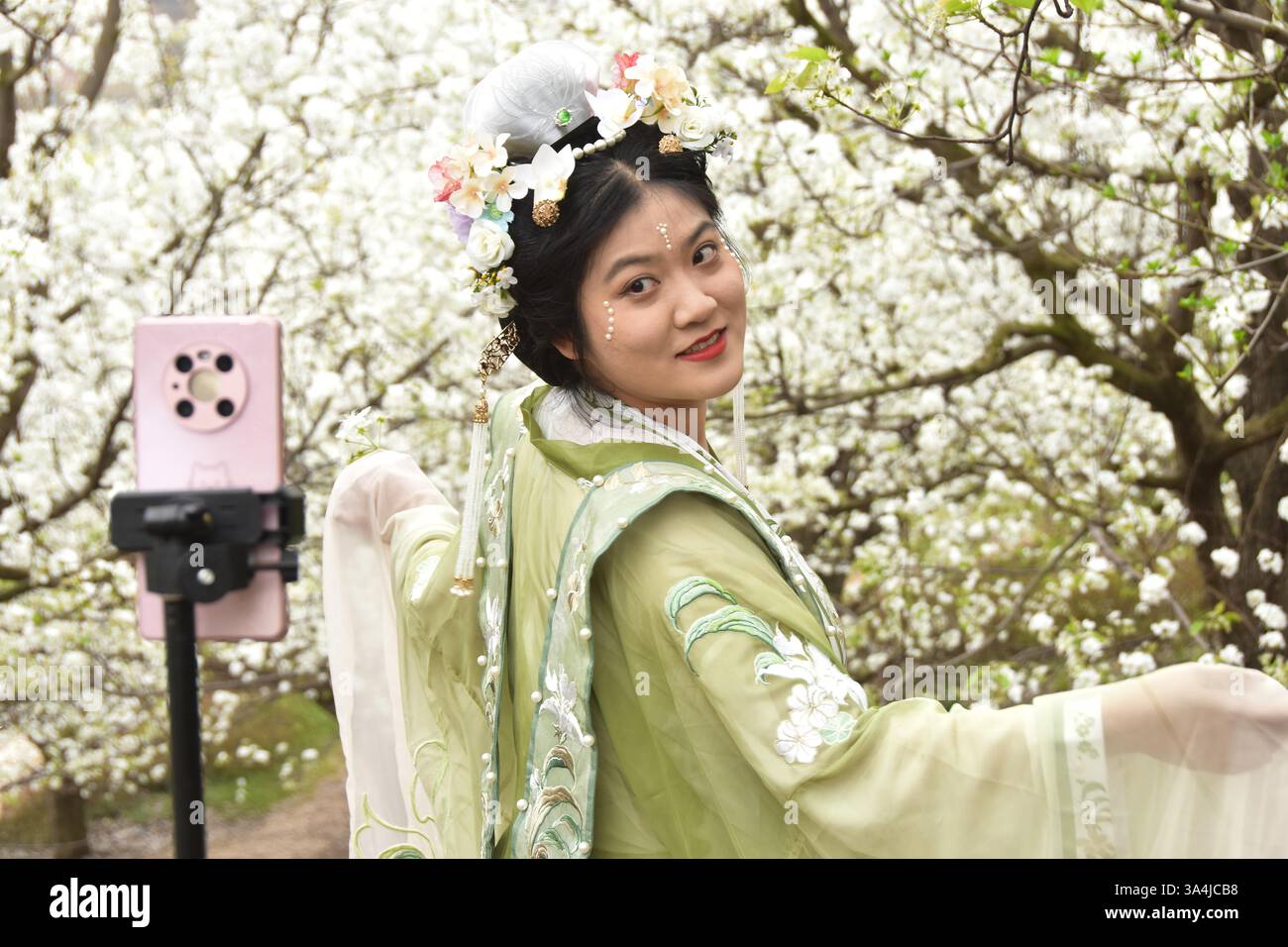 Pear blossoms bloom in Gejiu City, southwest China's Yunnan Province ...