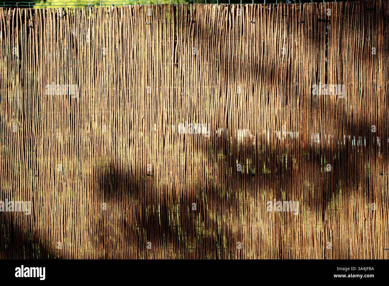Bamboo screen hi-res stock photography and images - Alamy