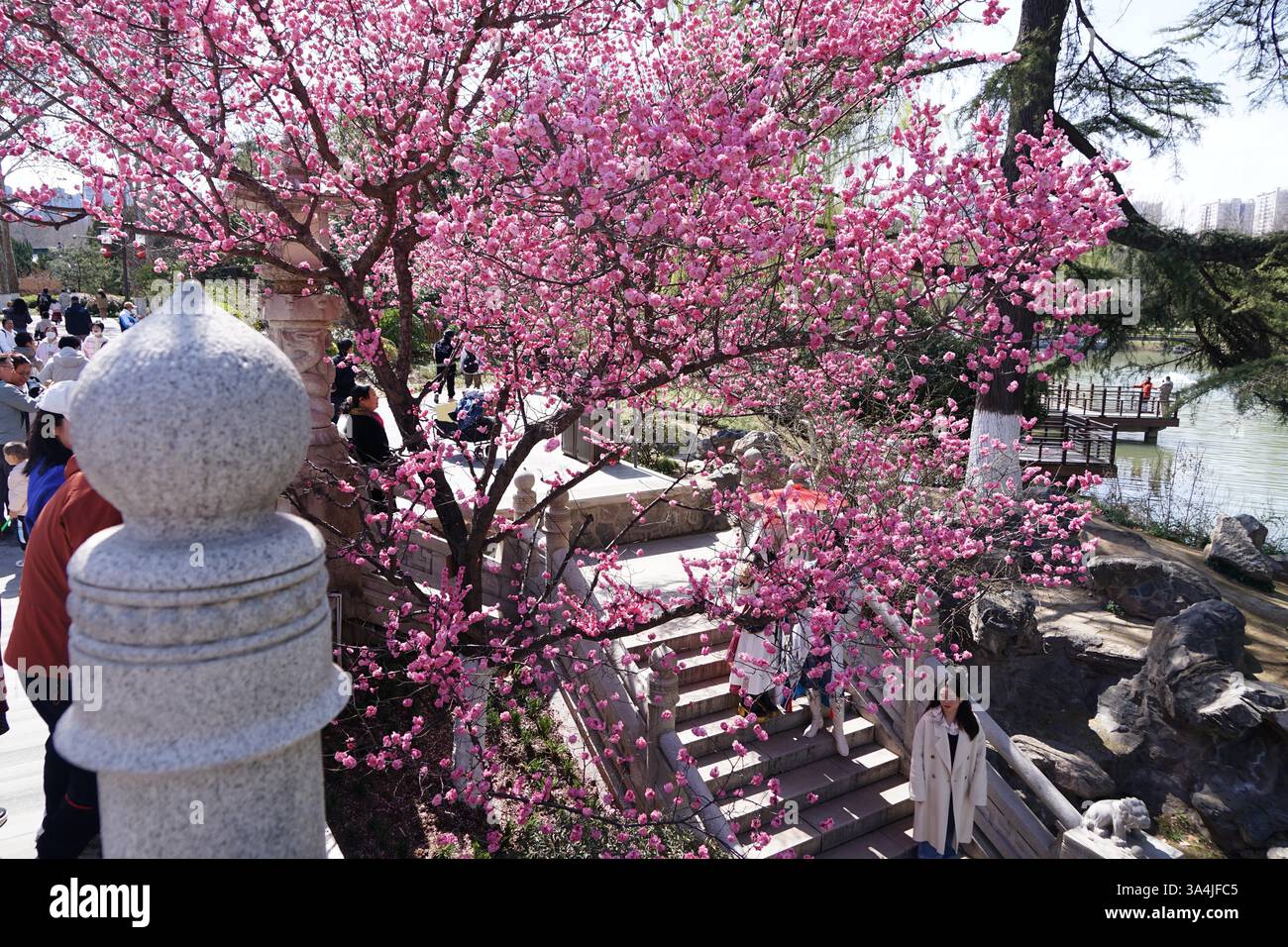 Tourists admire spring scenery at the Xingqinggong Park in Xi'an City ...