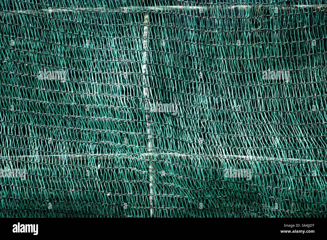 close up detail of green plastic woven screen mesh Stock Photo - Alamy