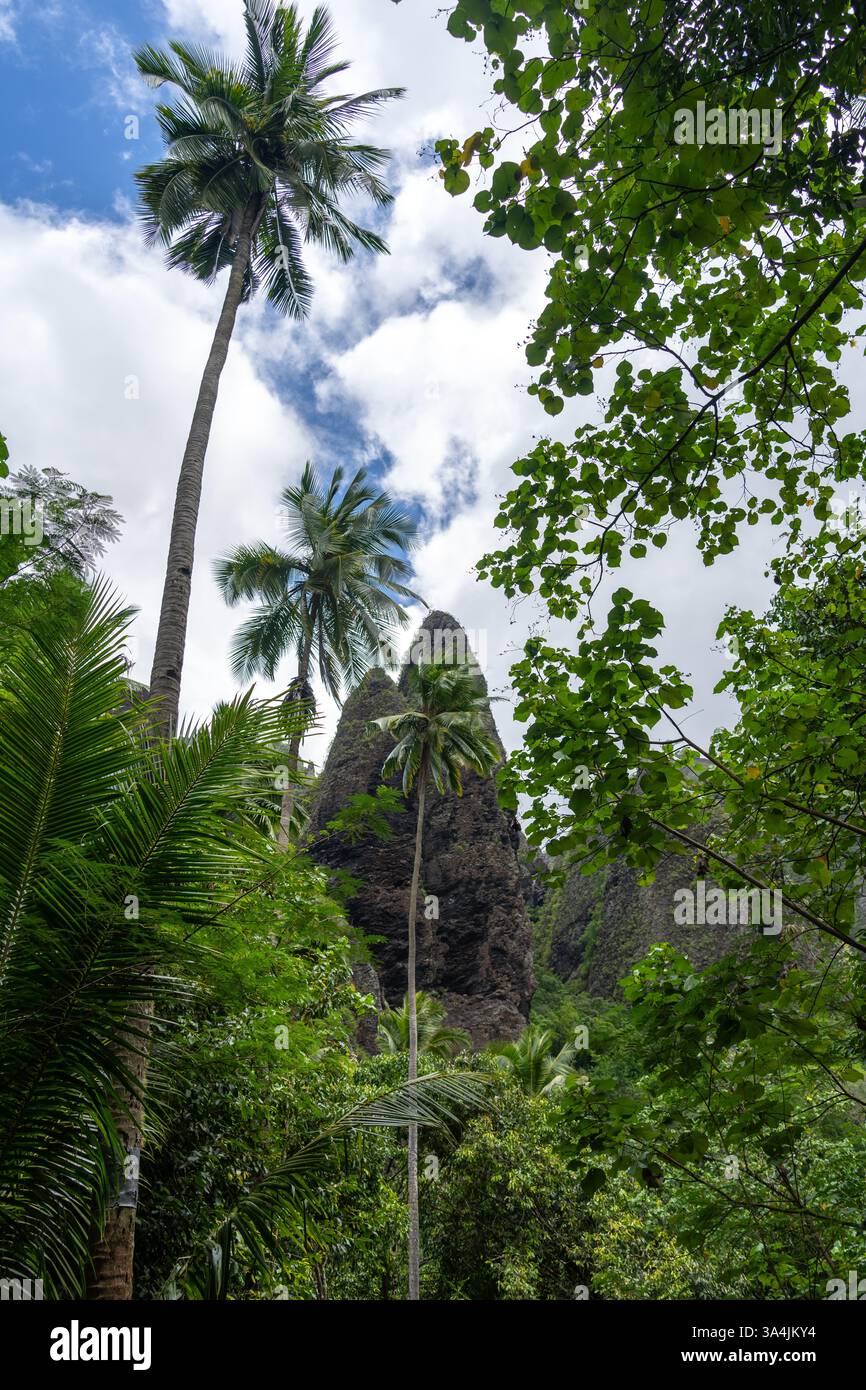 A lush jungle path through Hakaui Valley, Nuku Hiva, Marquesas Islands ...
