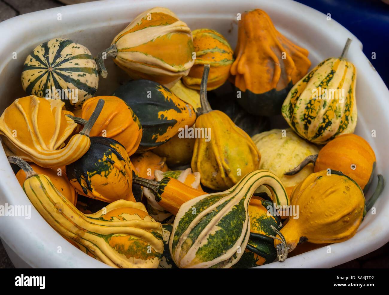 Diferentes tipos tipos hi-res stock photography and images - Alamy