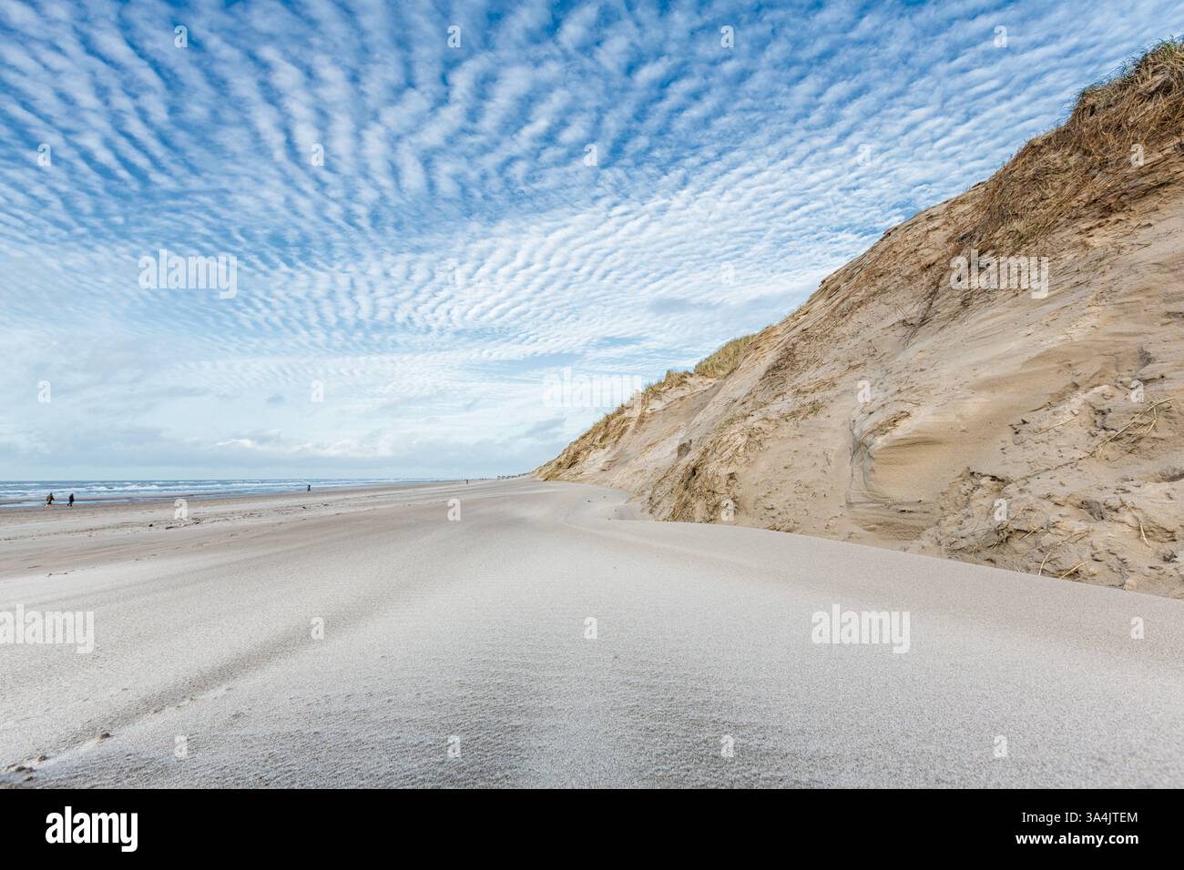 Windswept dunes at the coast of the North sea with structures and ...