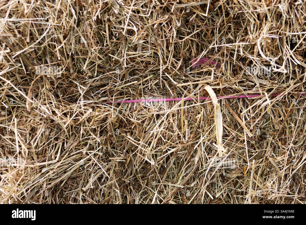 Detail bale hay tied hi-res stock photography and images - Alamy