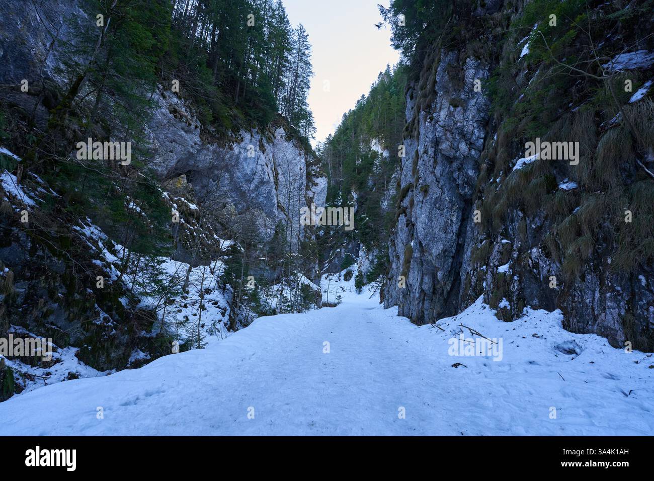 Snow-covered path winding through a narrow rocky gorge surrounded by ...