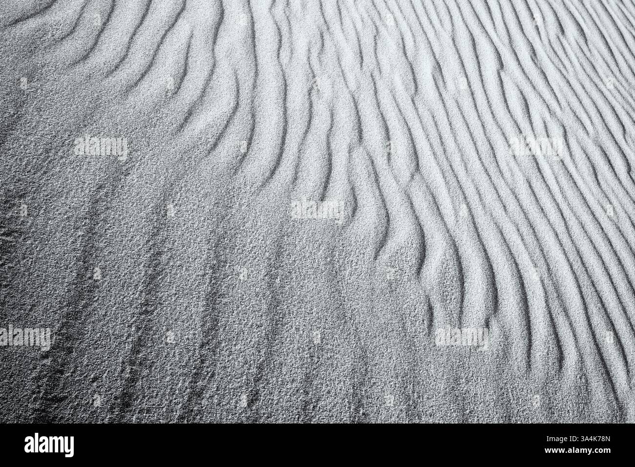 Windswept dunes at the coast of the North sea with structures and ...