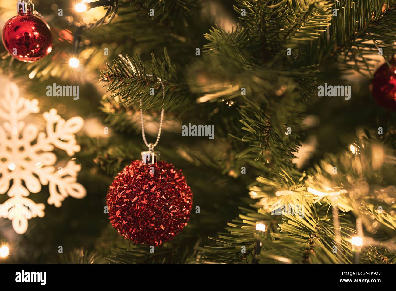 Cheer pine hi-res stock photography and images - Alamy