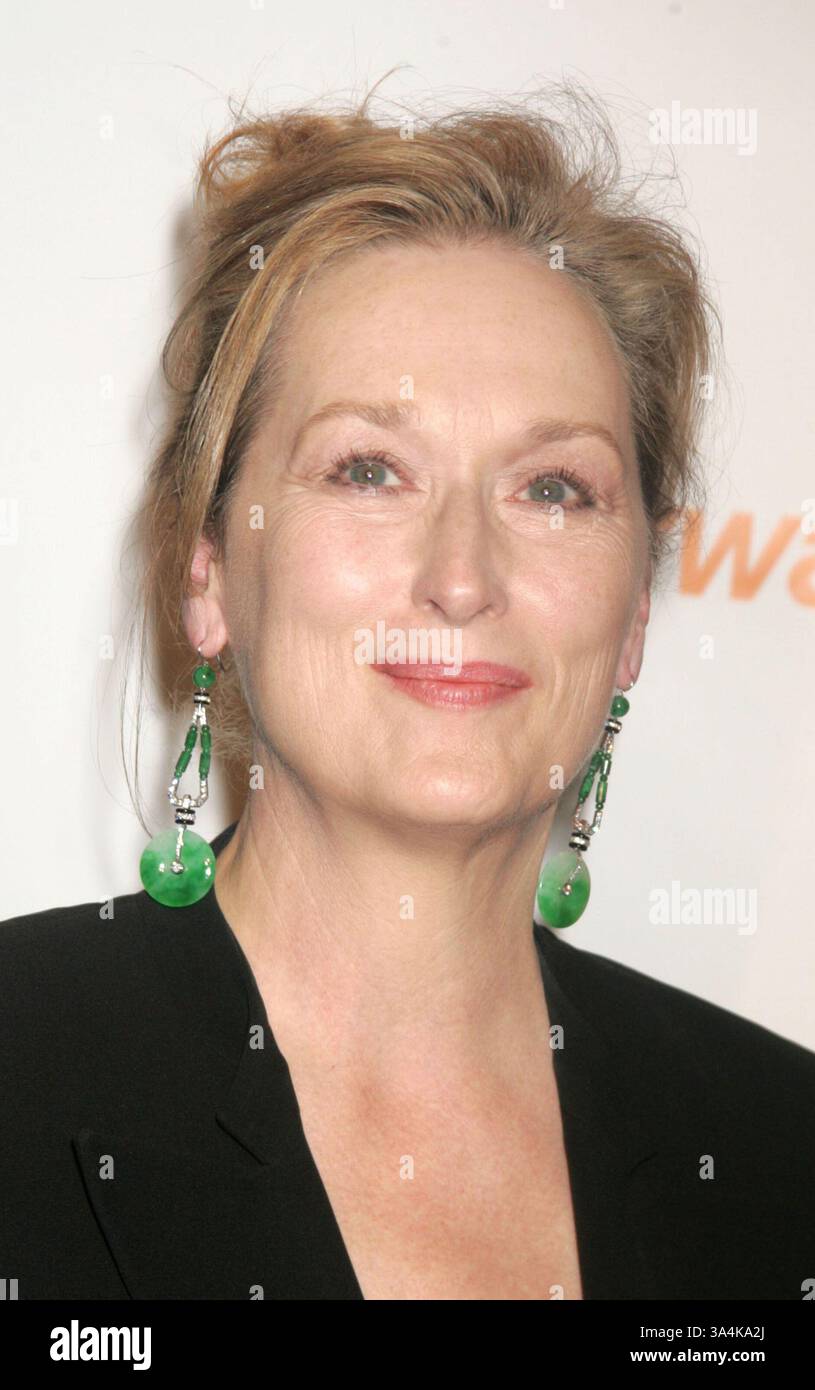 Nov 17, 2005; New York, NY, USA; Actress MERYL STREEP at the arrivals ...