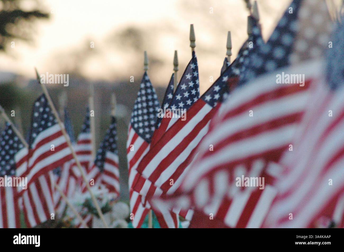 Nov 23, 2005; Quincy, MA, USA; American flags flying proudly at the ...