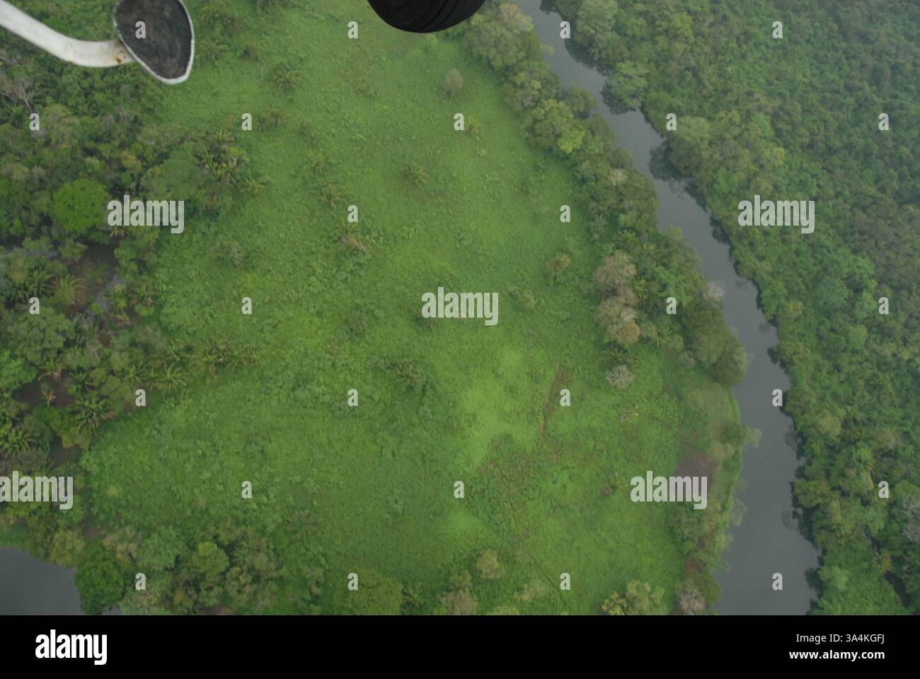 single bend in a river with an riel view of the jungle rain forest ...
