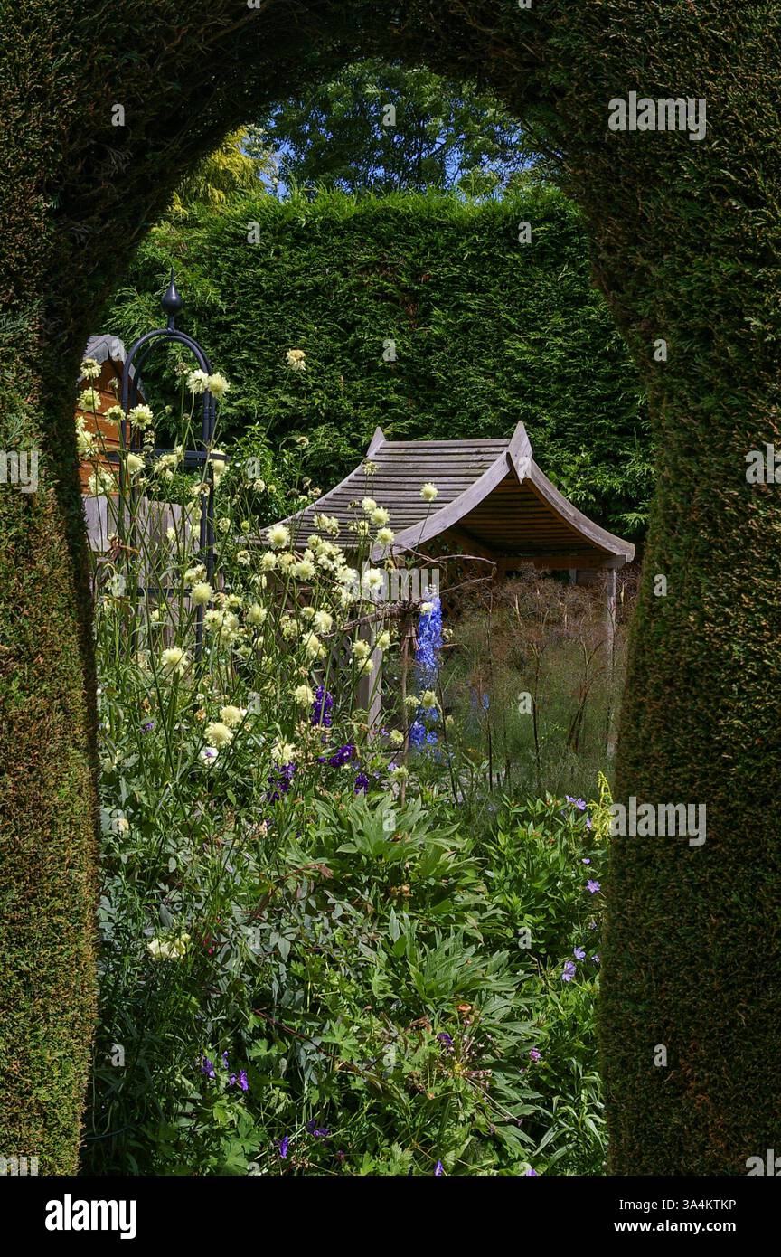 Hedge planting scheme hi-res stock photography and images - Alamy