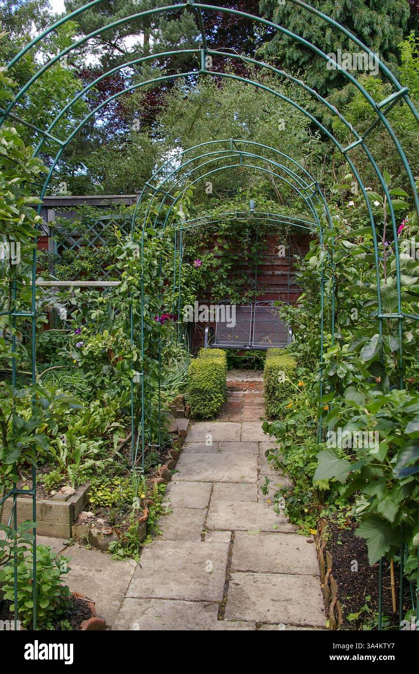 Path and pergola in the corner of an English back garden, Flore ...