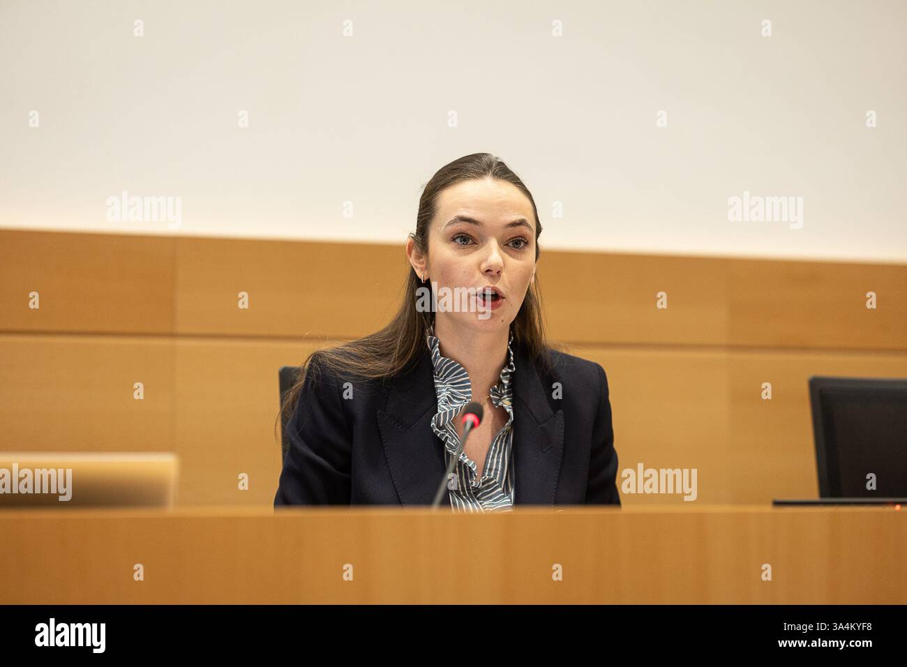 Brussels, Belgium. 19th Mar, 2025. Minister of Middle Classes Eleonore ...