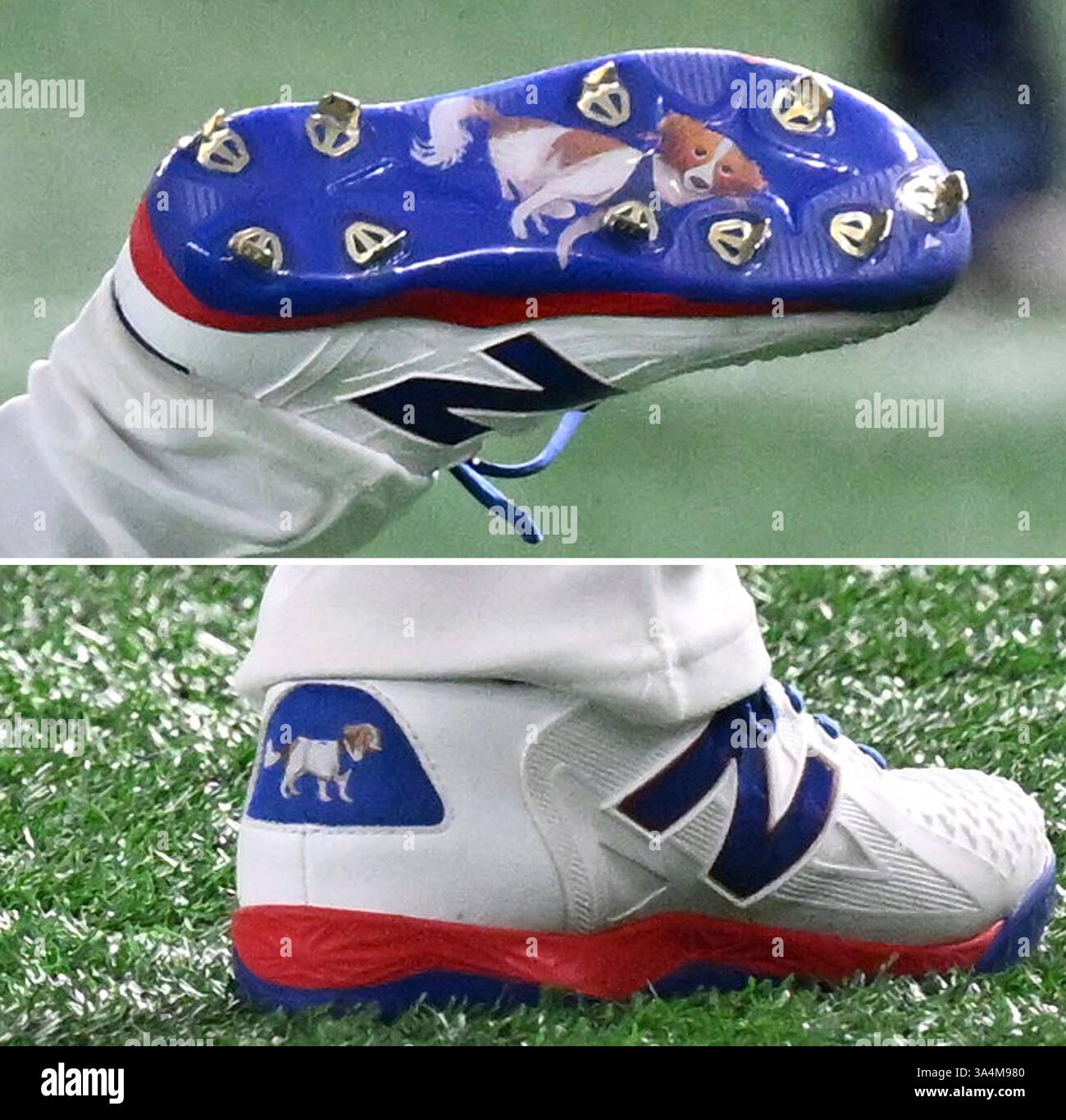The illustration of Shohei Ohtani's pet dog, Decoy Ohtani, painted on ...