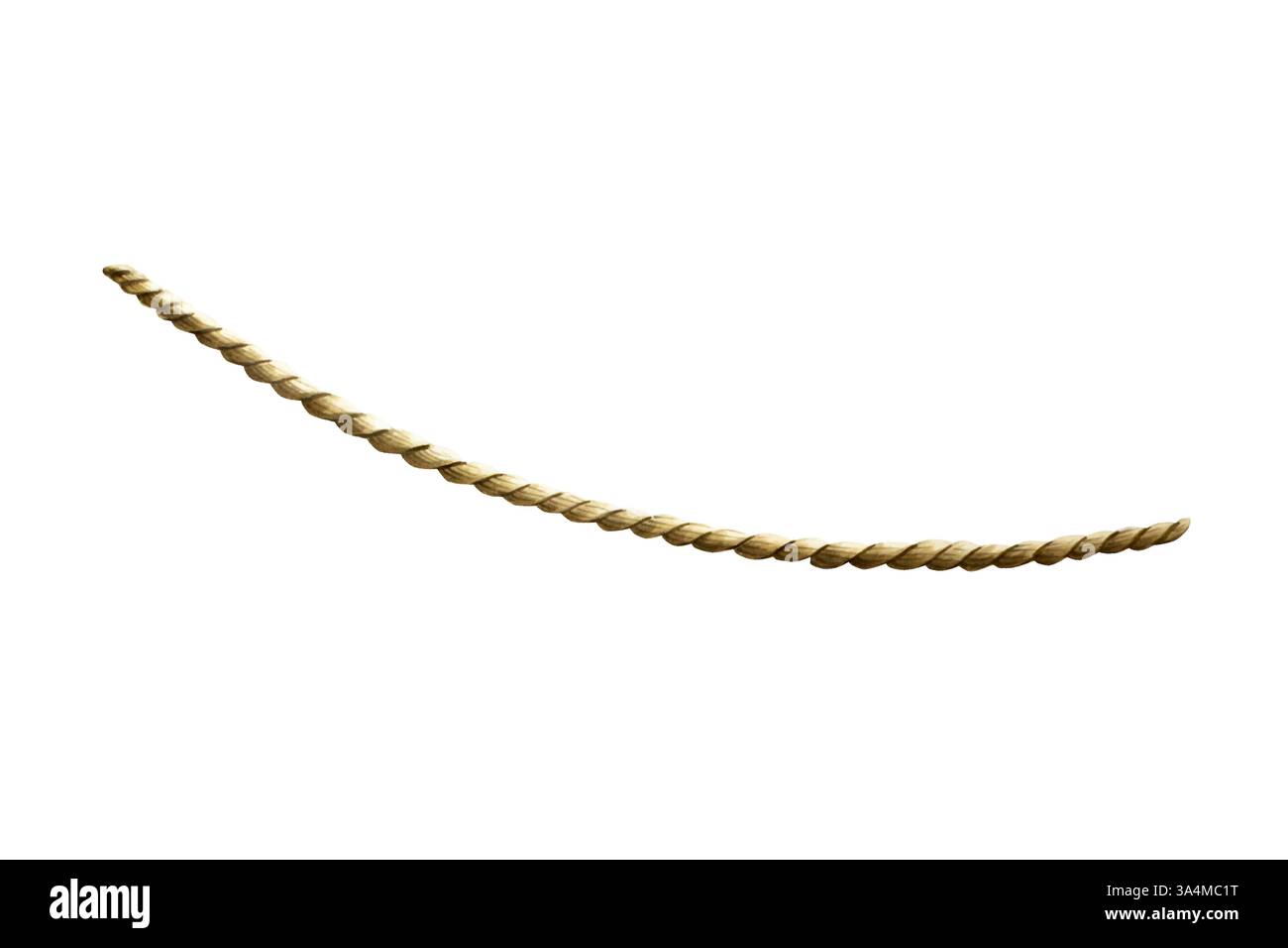 Twine straight brown rope. Watercolor hand drawn packthread isolated on ...