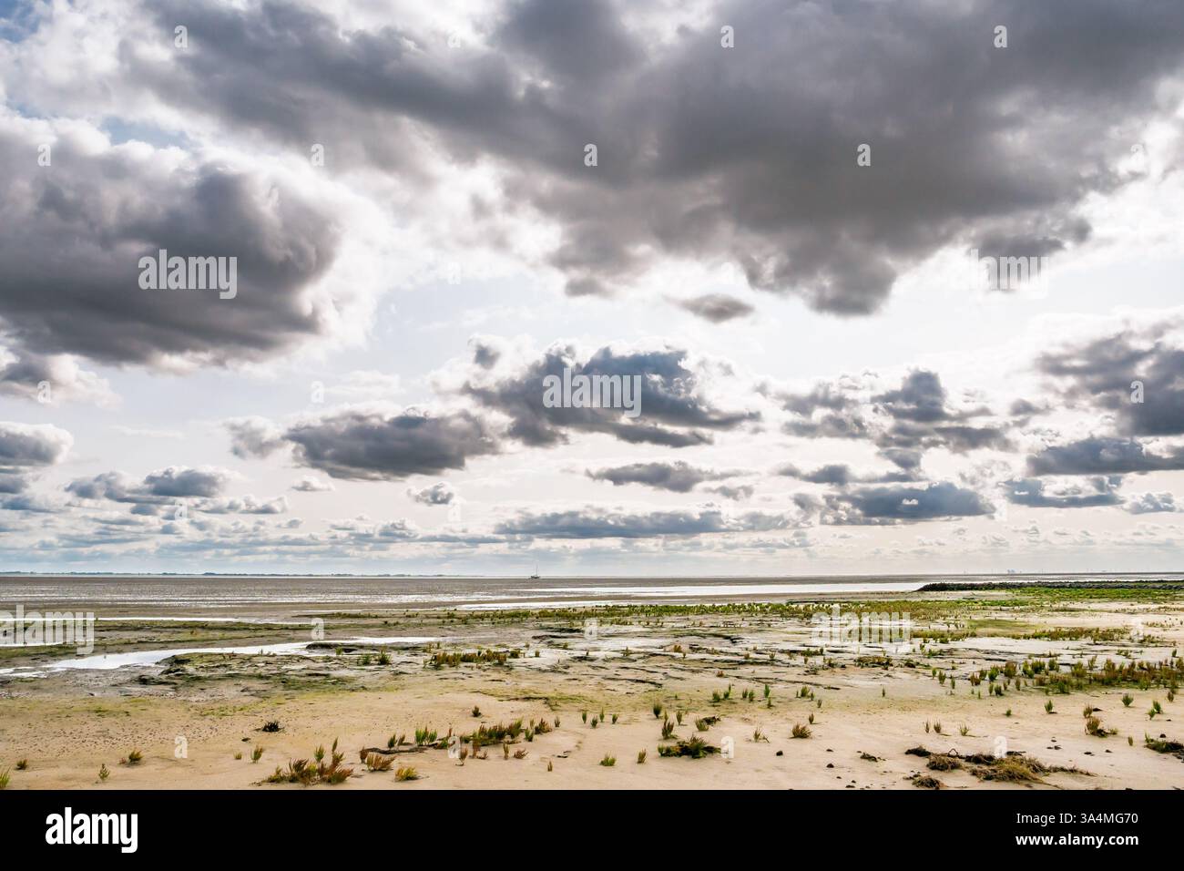 Panorama of tidal flats and salt marshes south of Juist in Lower Saxony Wadden Sea National Park ...