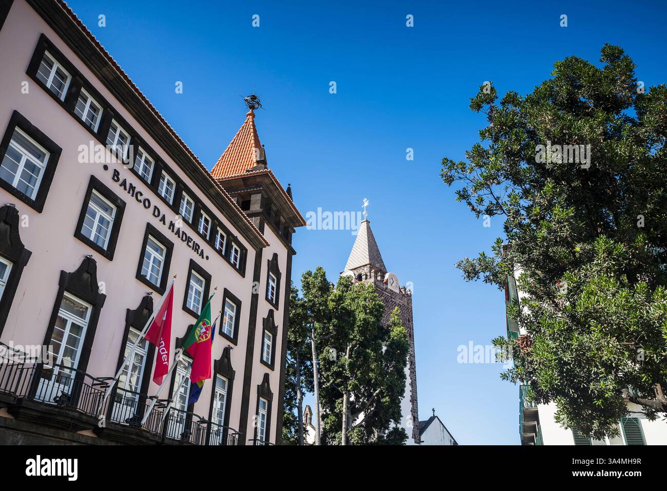 Next madeira hi-res stock photography and images - Alamy