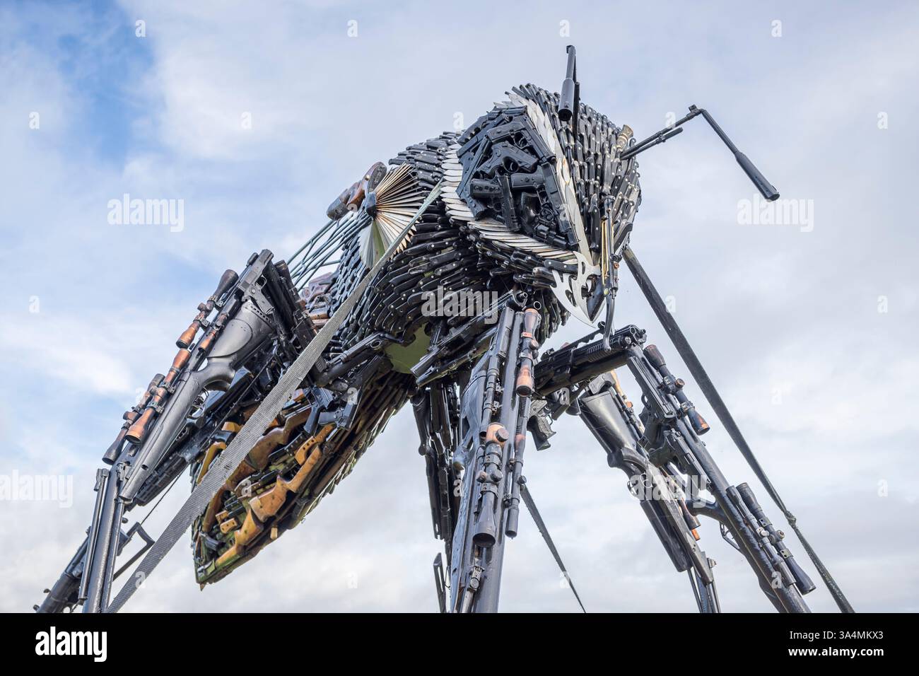 Anti violence bee hi-res stock photography and images - Alamy