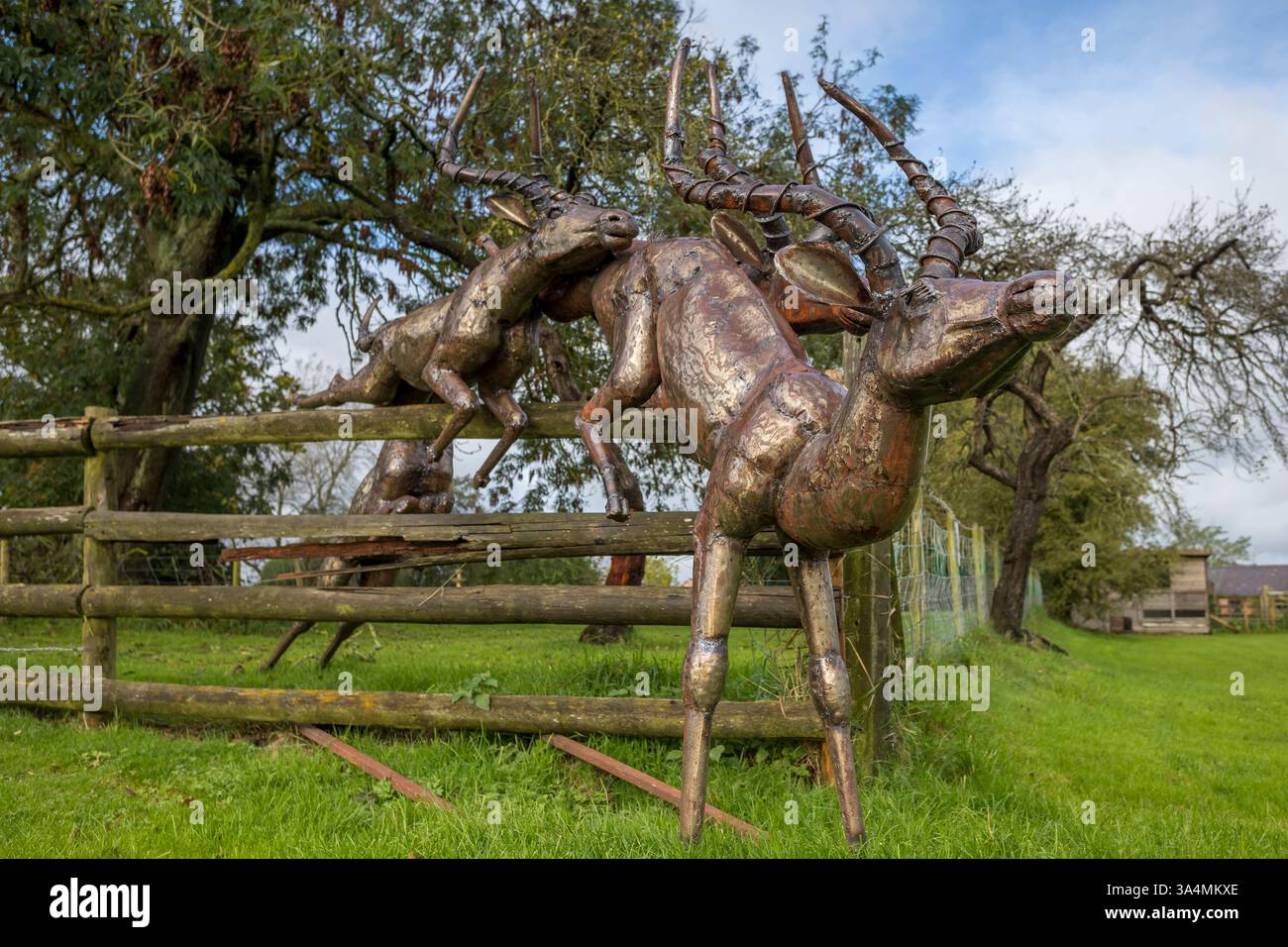 Antelope leaping over a fence Stock Photo - Alamy