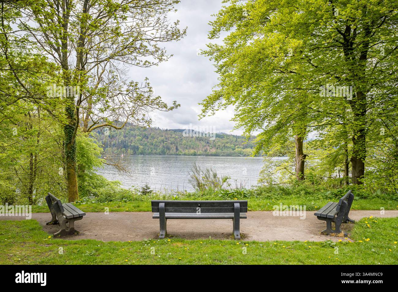 Trio of benches overlooking Lake Windermere Stock Photo - Alamy
