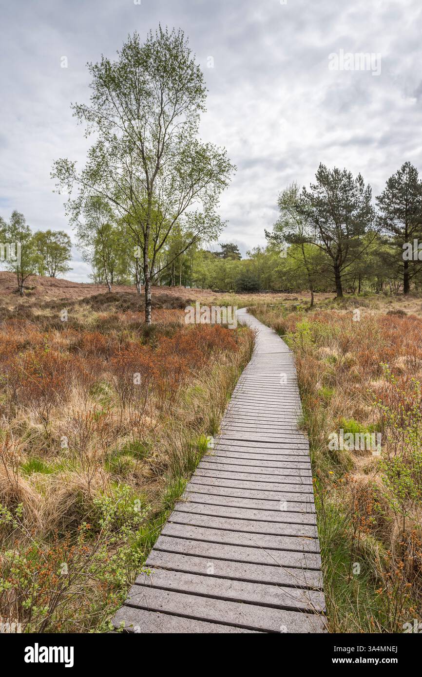 Dam walk board hi-res stock photography and images - Alamy