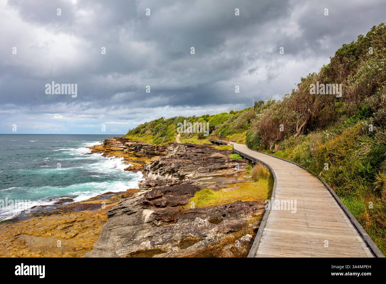 Bicentennial Coastal path between Curl Curl and Freshwater suburbs of ...