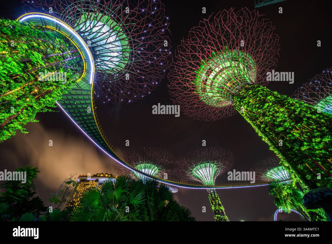 Futuristic super trees overlooking Marina Bay Sands in the tropical ...