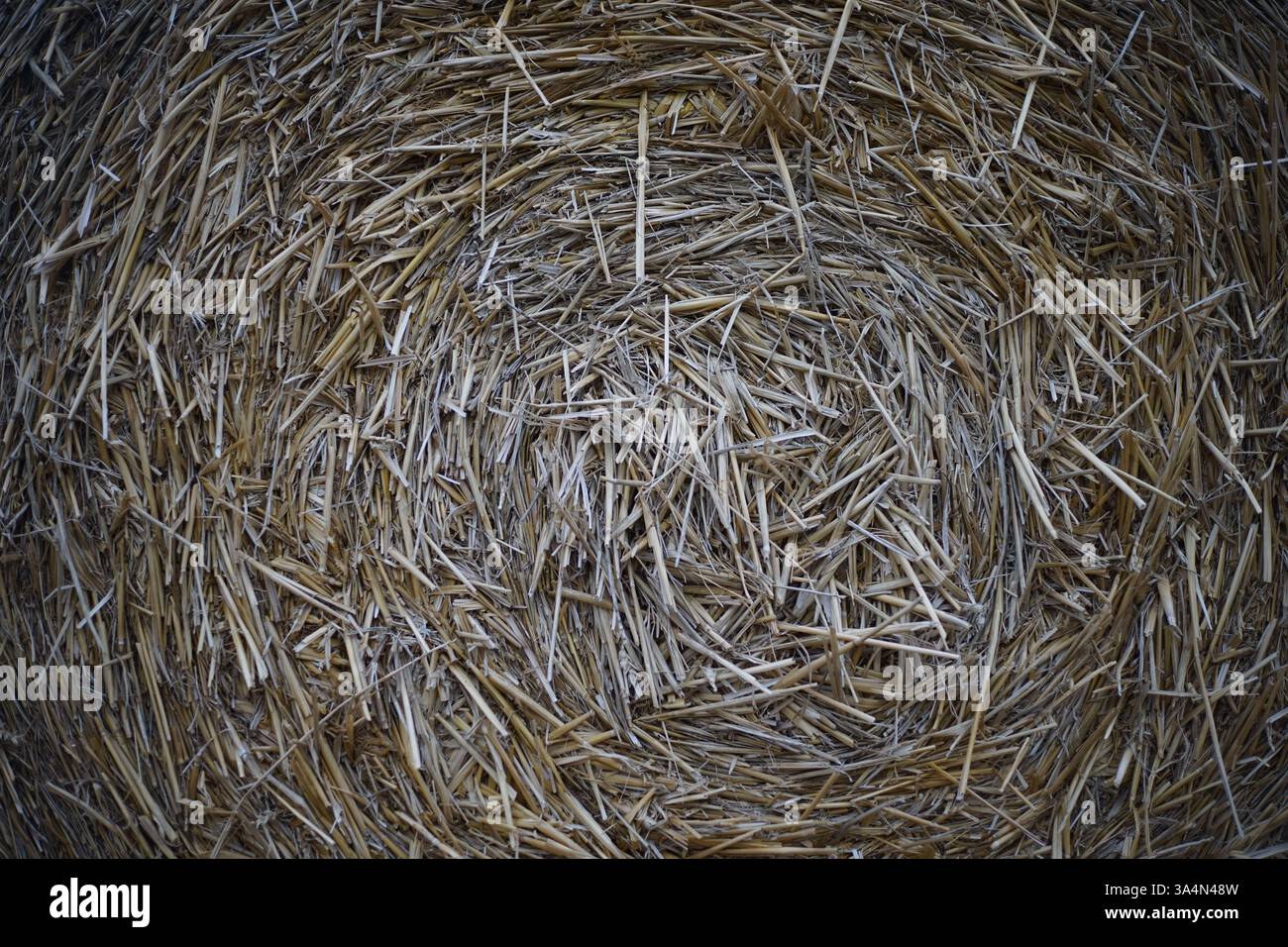 Mulched straw hi-res stock photography and images - Alamy