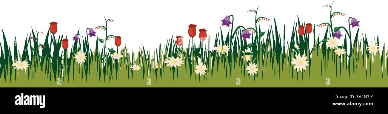 Seamless spring summer grass horizontal border with meadow plants ...