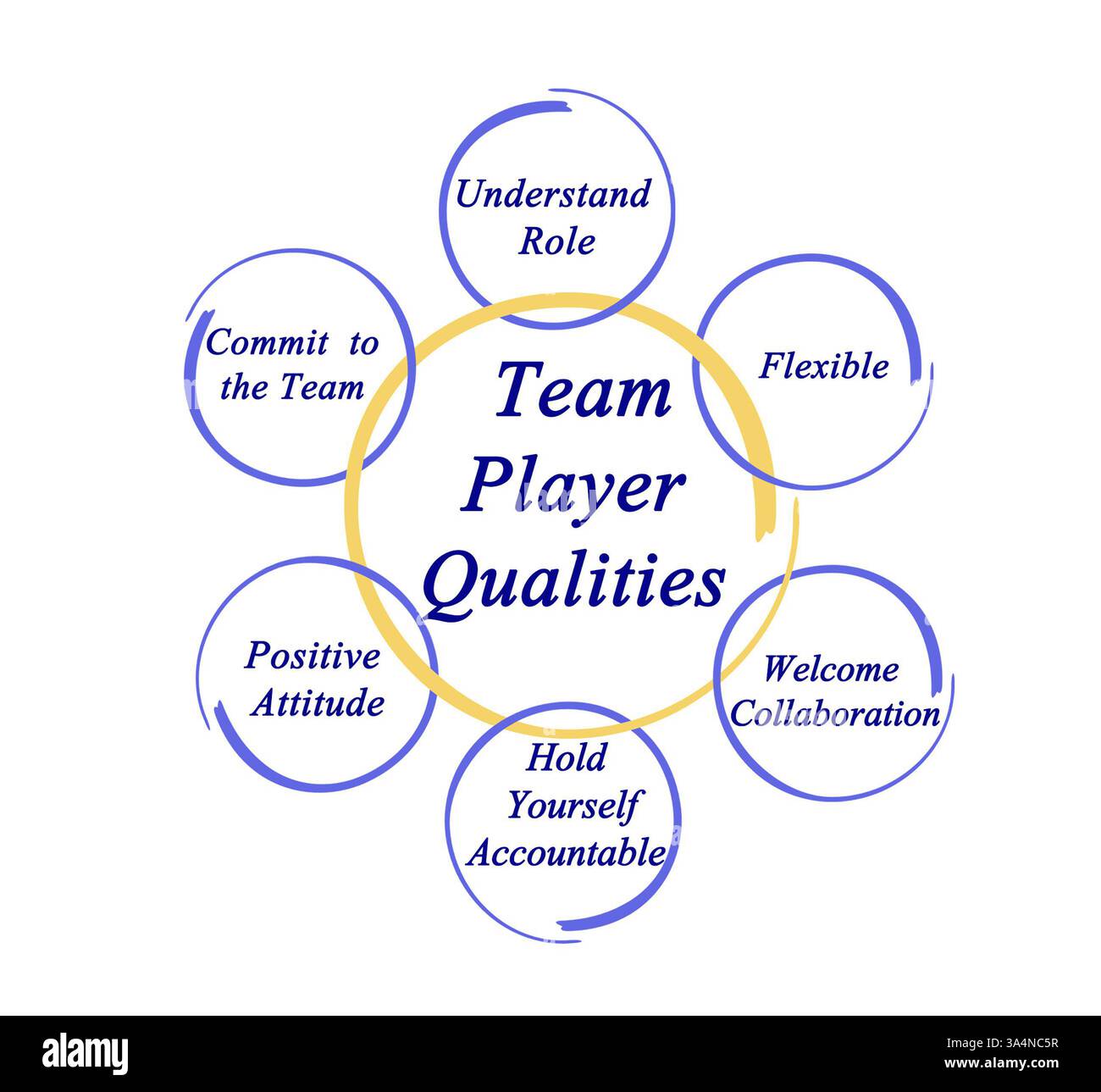 Six Qualities of Team Player Stock Photo - Alamy