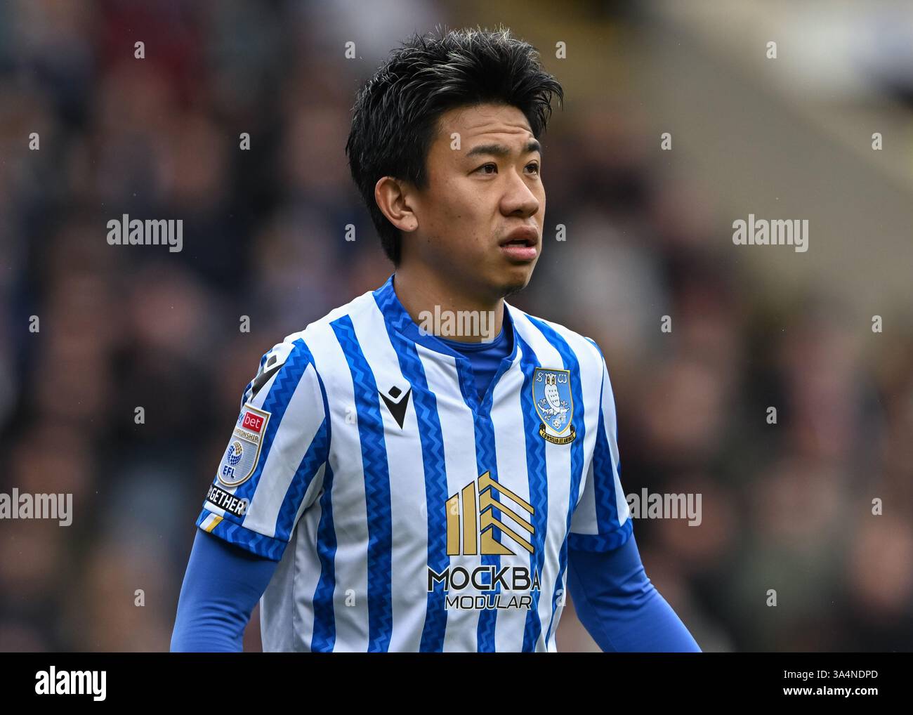 Sheffield Wednesday's Ryo Hatsuse during the Sky Bet Championship match ...