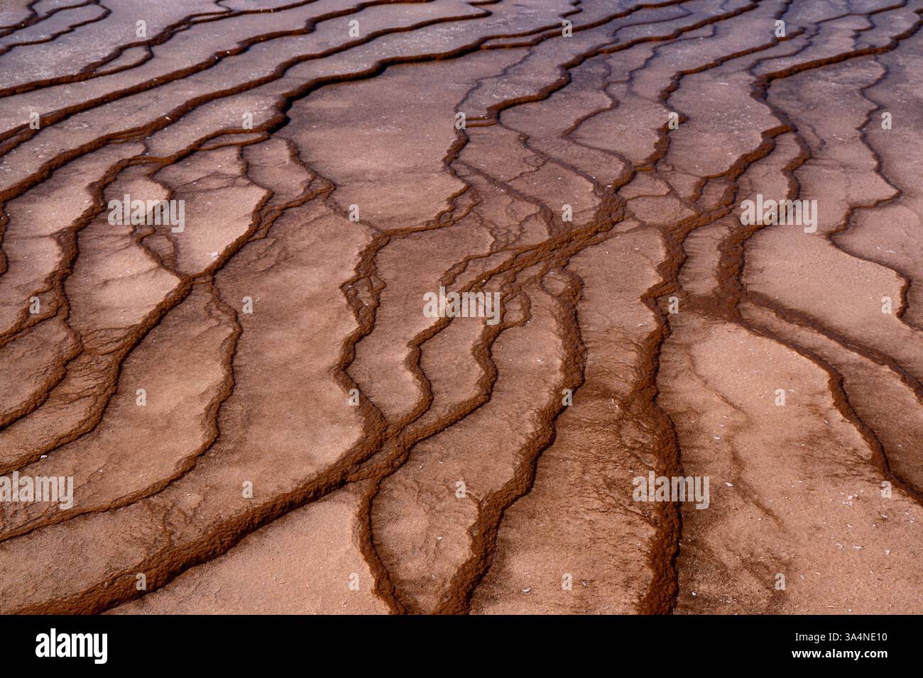 Intricate mineral deposits and textures at Grand Prismatic Spring ...