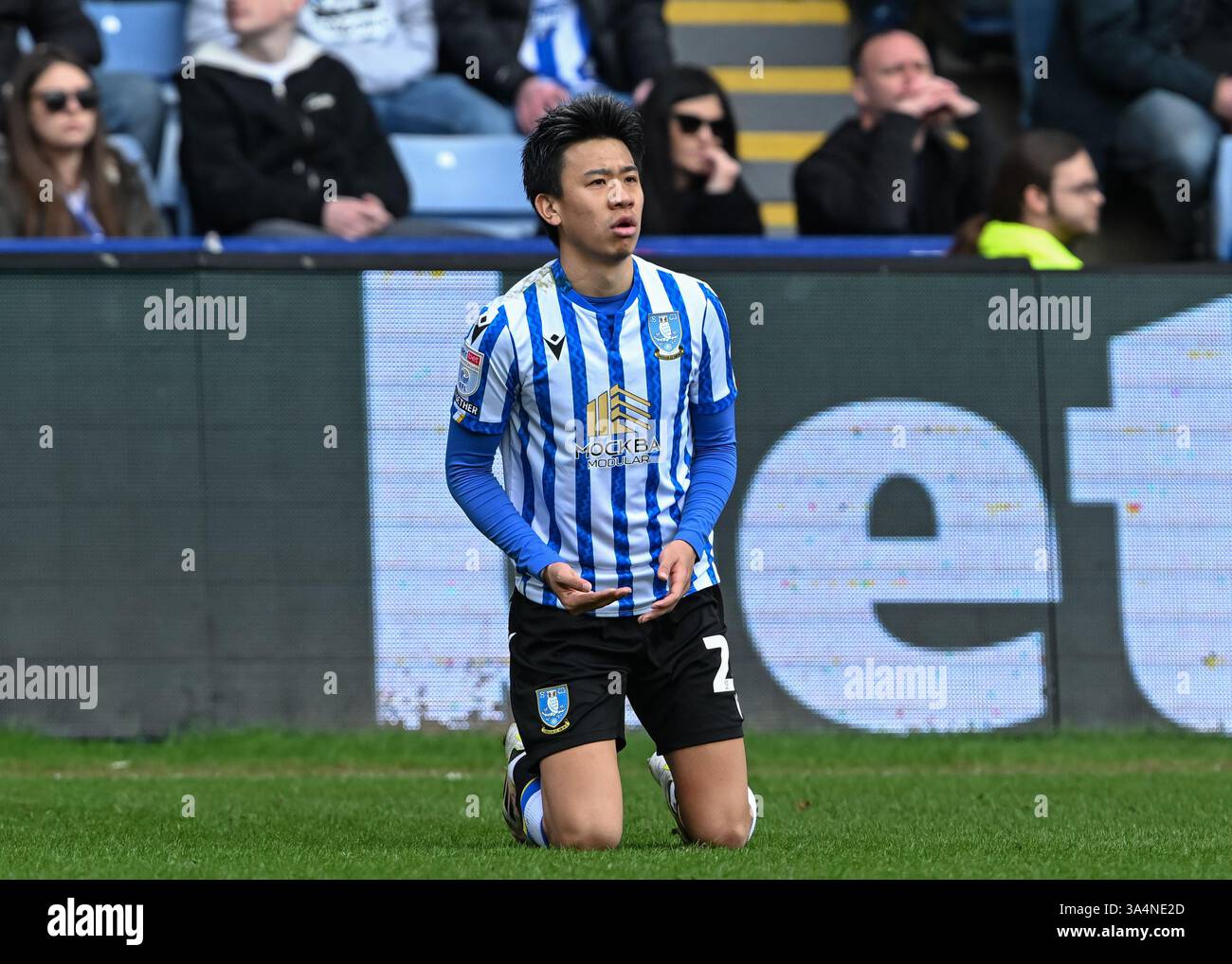 Sheffield Wednesday's Ryo Hatsuse during the Sky Bet Championship match ...