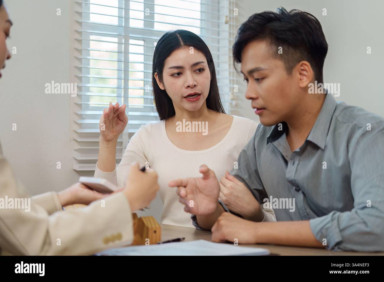 Real estate agents discussing property options with clients in a modern ...