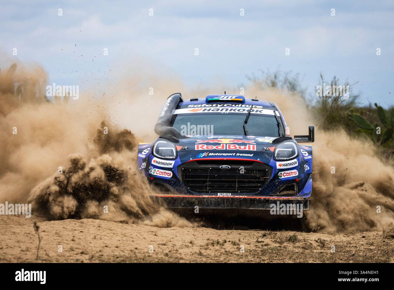 55 Joshua MCERLEAN, Eoin TREACY, Ford Puma Rally1, action during the ...