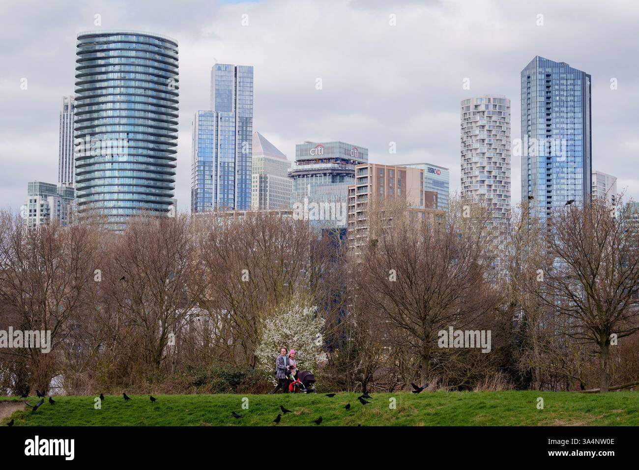 In front of a skyline of Canary Wharf high-rises in London Docklands, a ...