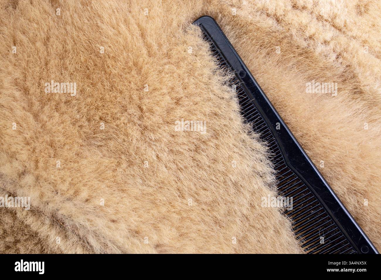 Animal skin wool or hair with a plastic black comb, grooming close up ...