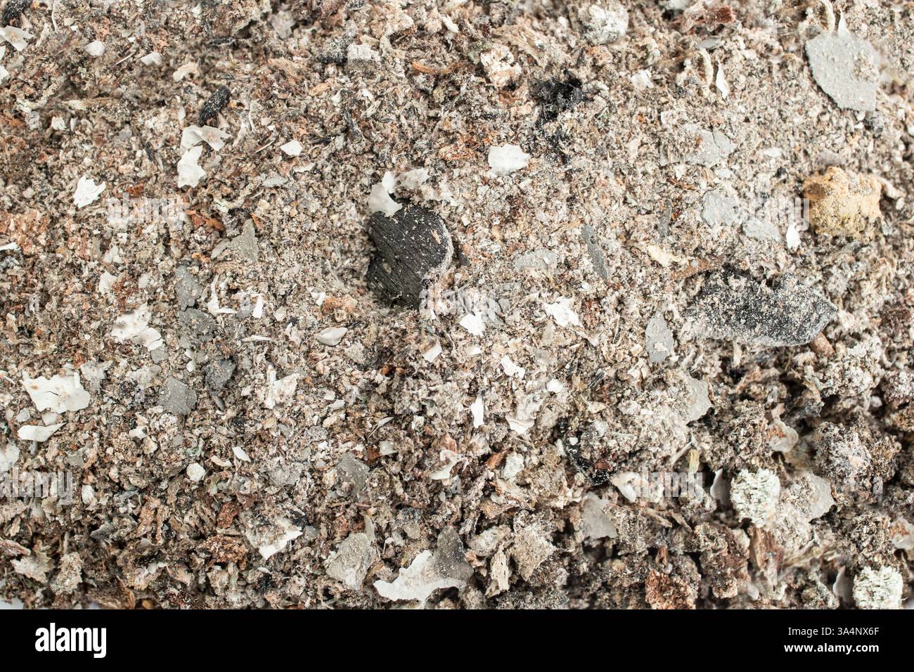 Wood burned ash background, full frame soft focus Stock Photo - Alamy