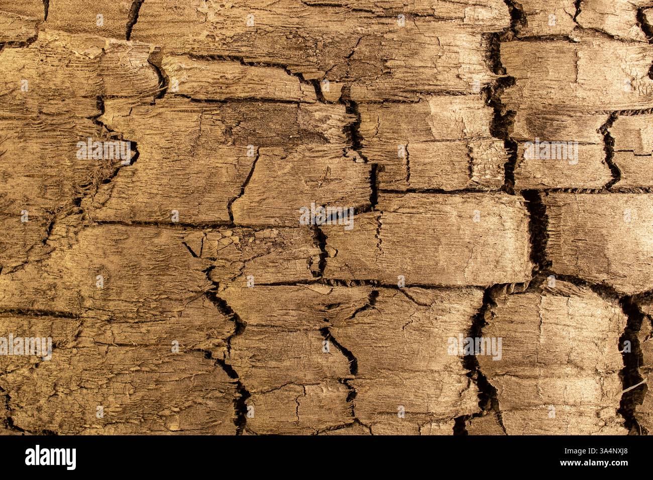 Golden scorched texture surface, abstract minimal backdrop Stock Photo ...