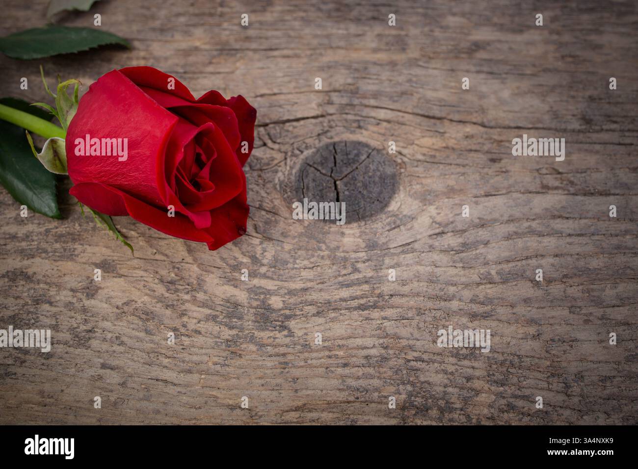 Im so sorry hi-res stock photography and images - Alamy
